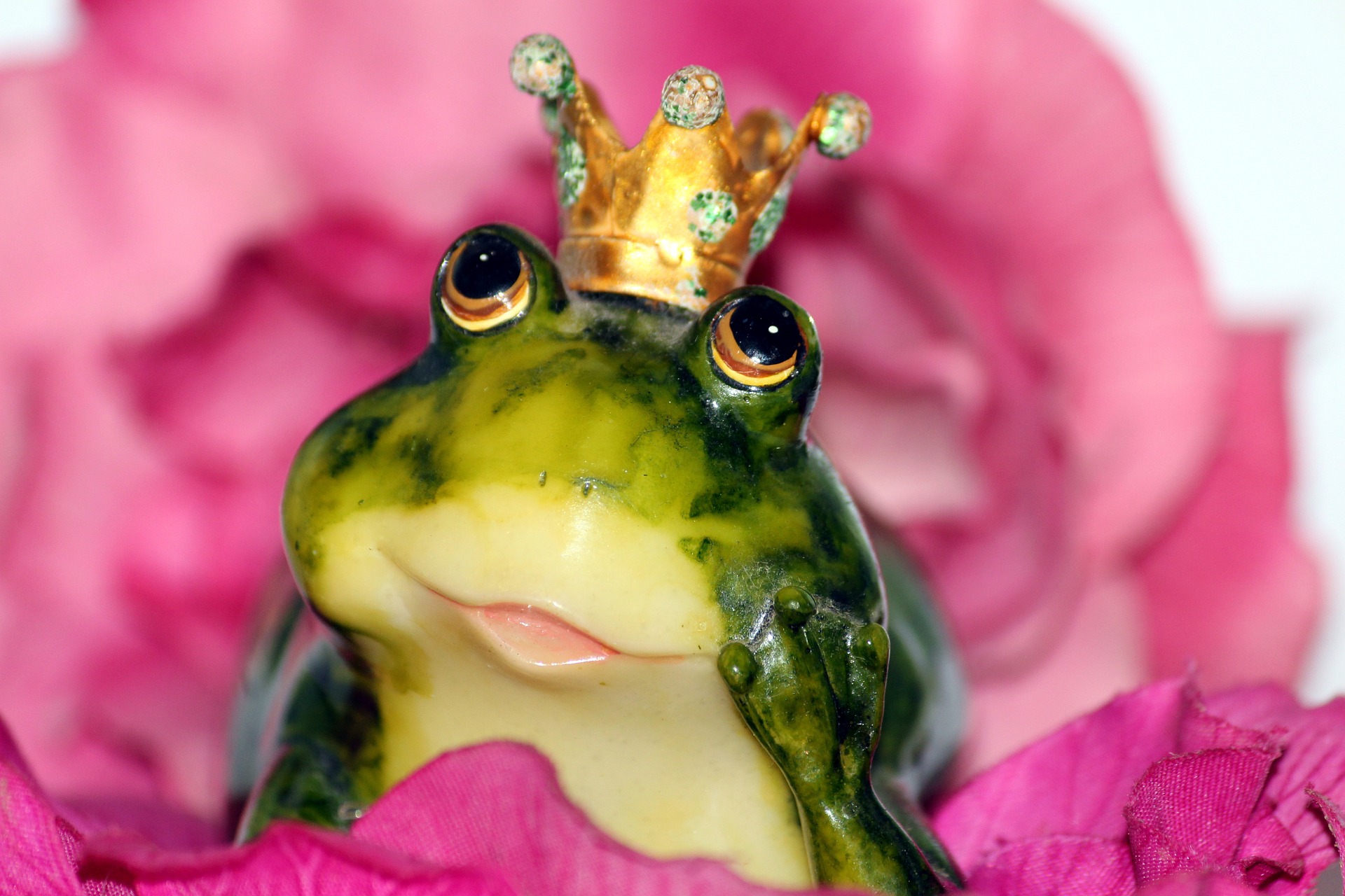 What’s Wrong with the Frog Prince? – Vicki Arnott – Author of Science ...